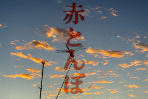 Aka tombo (1927) - 赤とんぼ - Nostalgic Japanese Songs